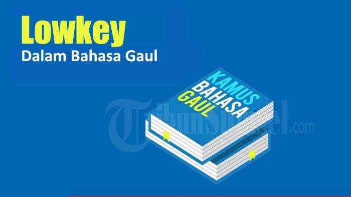 Arti Lowkey dalam Bahasa Gaul Adalah Apa? Ini Maksudnya, Jangan Sampai Tidak Tahu - Tribunsumsel.com