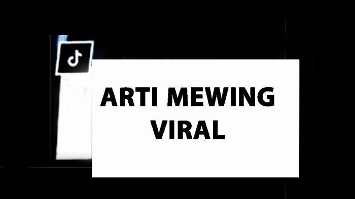 Arti Mewing dalam Bahasa Gaul, Istilah Kekinian Viral di TikTok - Halaman 1 - Tribunsumsel.com