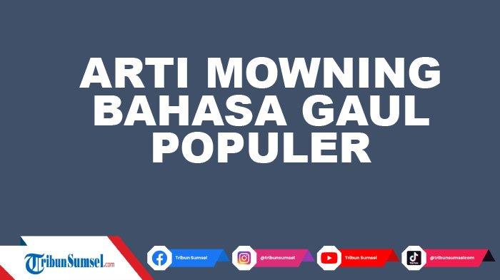 Arti Mowning dalam Bahasa Gaul, Istilah Populer dan Viral di Tiktok dan Twitter - Tribunsumsel.com