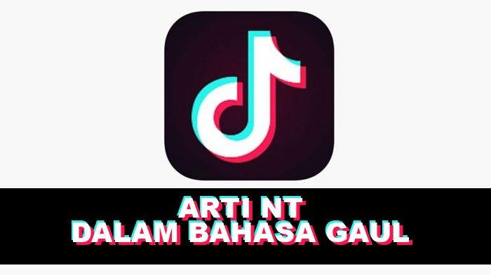 Arti NT dalam Bahasa Gaul, Istilah yang Populer dan Viral di TIktok - Tribunsumsel.com