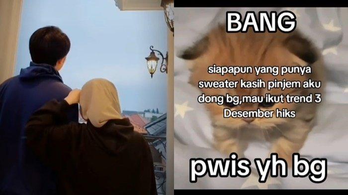 Arti Trend Sweater dan Hodie Tanggal 3 Desember yang Viral di TikTok ...