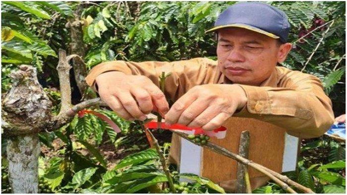 Babak Baru Sekda Pagaralam Dicopot, Syamsul Bahri Burlian Merasa ...