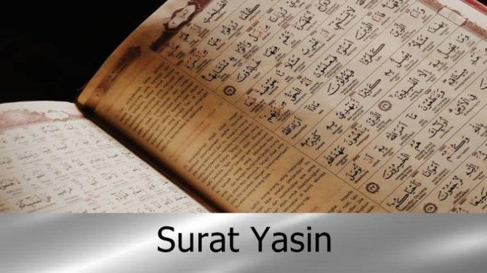 Bacaan Surat Yasin Ayat 1-83 Latin, Arab dan Terjemahan, Al Quran ...