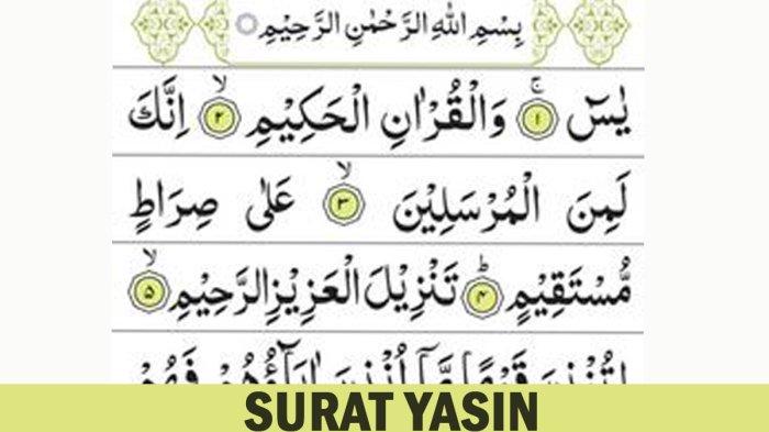 Bacaan Surat Yasin Latin Mudah Dibaca, Full 83 Ayat - Tribunsumsel.com