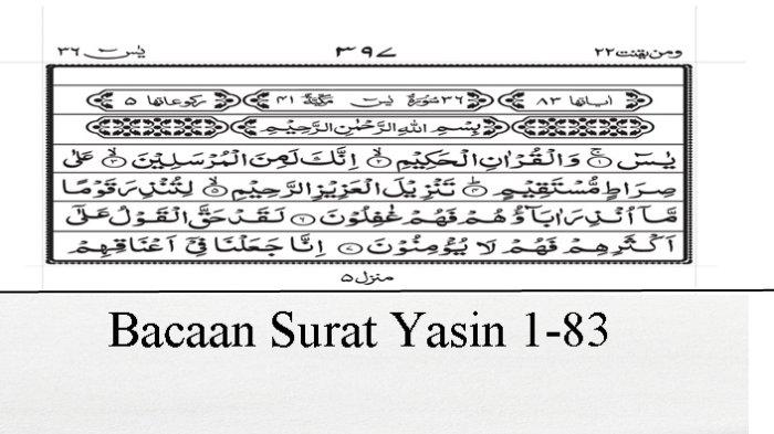 Bacaan Surat Yasin Latin Mudah Bibaca Lengkap Mulai dari Ayat 1-83 ...