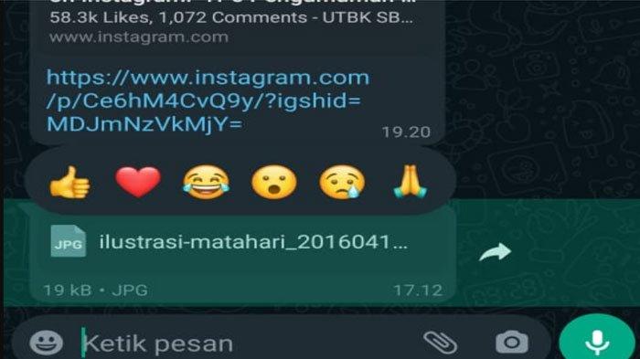Cara Hapus Pesan WhatsApp yang Sudah Terbaca, Tanpa Aplikasi Tambahan ...