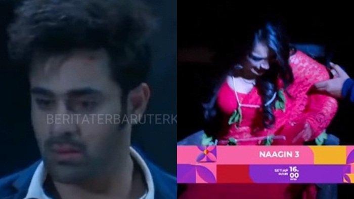 Sinopsis Serial India Naagin 3 17 November 2022: Mahir Tahu Bela Bunuh ...