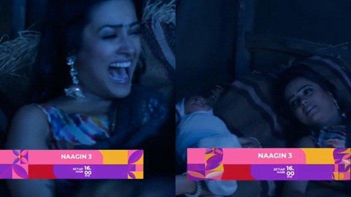 Sinopsis Serial India Naagin 3 7 Desember 2022: Vish Akhirnya ...