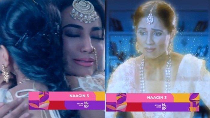 Sinopsis Serial Drama India Naagin 3 8 November 2022: Vikrant Vish ...