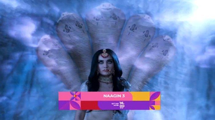 Rangkuman Serial India Naagin 3 12 November 2022: Bela Ngamuk Mahir ...