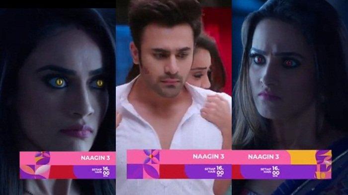 Rangkuman Serial Drama India Naagin 3 2 November 2022: Kebahagiaan Bela ...