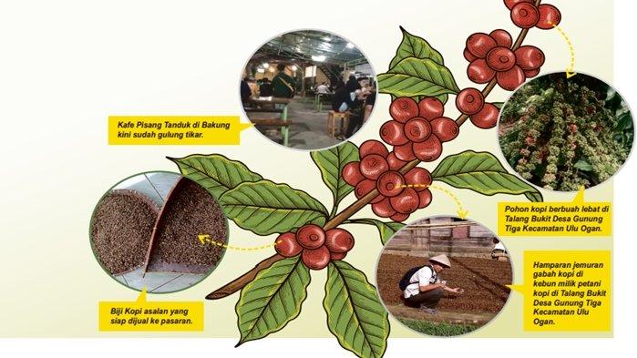 LIPSUS : Bisnis Kafe Kopi Gulung Tikar, Harga Kopi Tembus Rp 52 Ribu ...