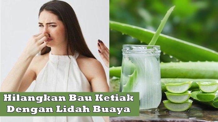 Cara Menghilangkan Bau Ketiak dengan Lidah Buaya dan Bahan Alami, Usir ...