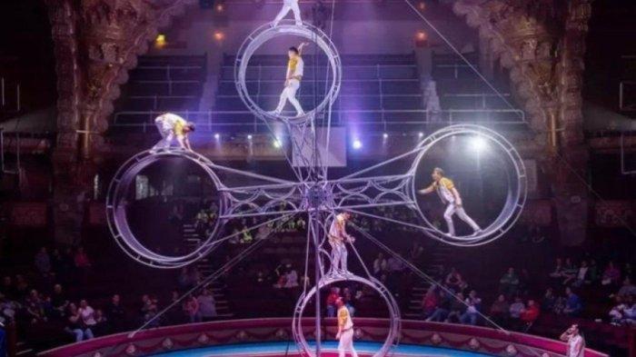 Kisah Pilu Fifi Eks Pemain Sirkus Ngaku Alami Kekerasan hingga Baru ...