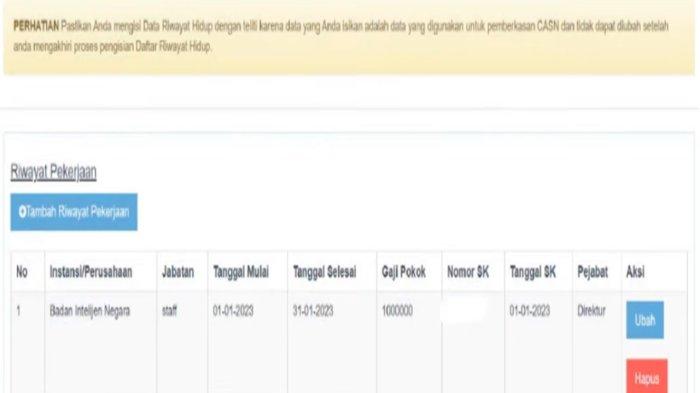 5 Contoh Deskripsi Riwayat Pengalaman Kerja PPPK Teknis 2024 di DRH ...