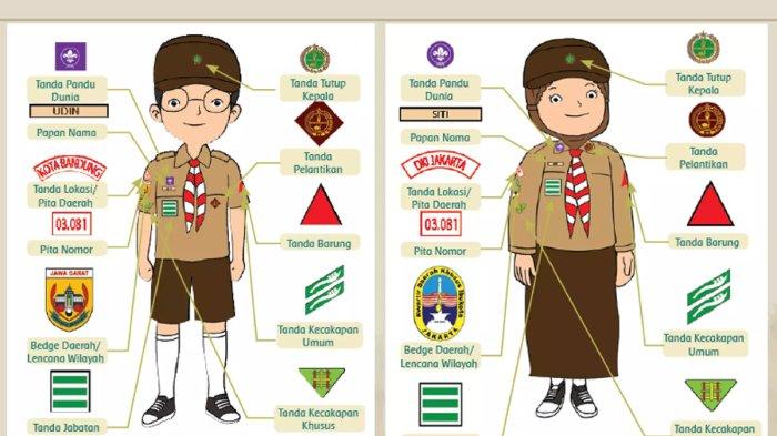 Daftar Atribut Pramuka Siaga Putra dan Putri SD, Aturan dan Tata Letak ...