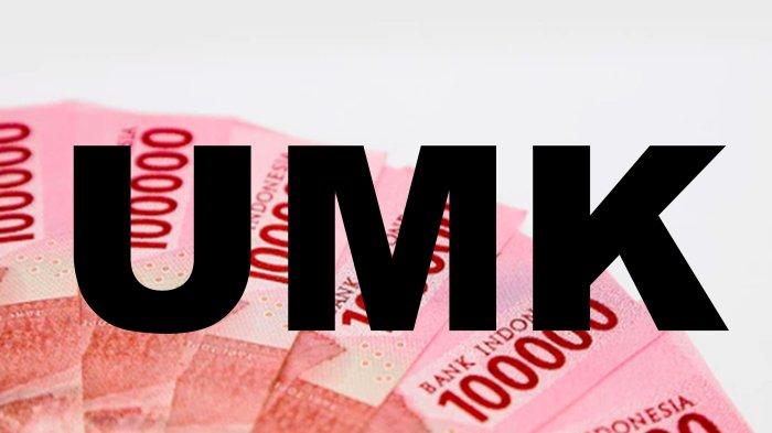 Daftar UMK Kab/Kota 2023 di Sumsel yang Sudah Ditetapkan, Palembang, PALI, OI, OKI, Muratara ...