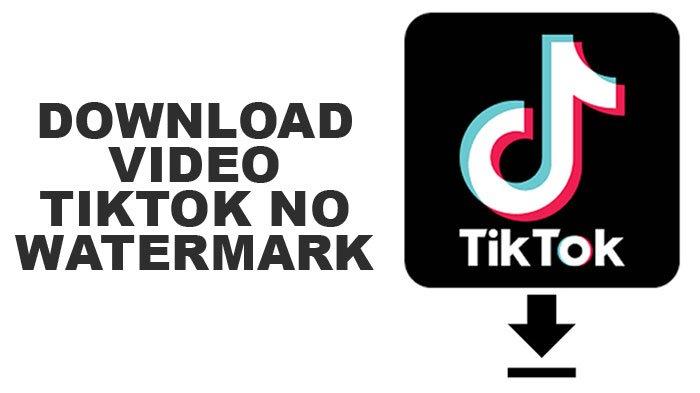 Download Video Tiktok Tanpa Watermark Mudah di IOS dan Android, Tiktok ...