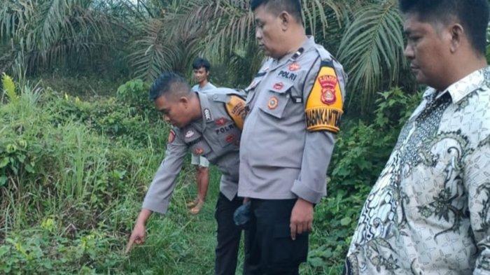 Duel Sengit Perampok VS Korban di Musi Rawas, Wajah Pelaku Kena Bacok Usai Tusuk Korban Pakai ...