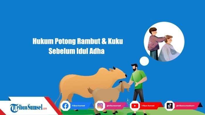 Hukum Potong Kuku dan Rambut Sebelum Kurban Idul Adha, Ini ...