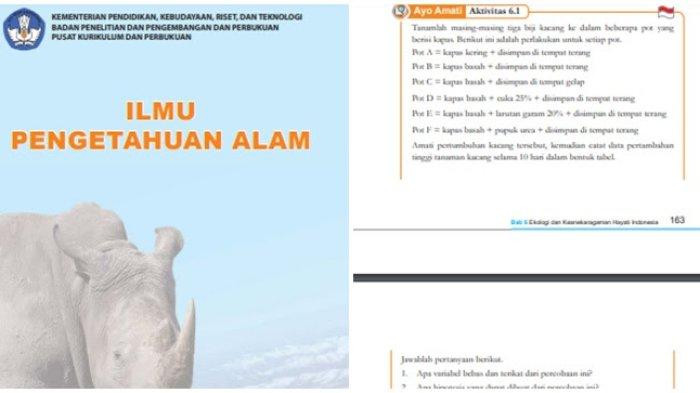 Kunci Jawaban IPA Kelas 7 SMP/MTS Halaman 163 164 Kurikulum Merdeka, Amati Pertumbuhan Kacang ...