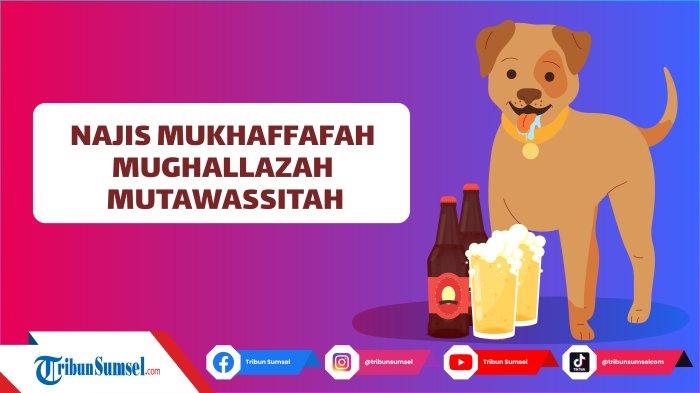 Arti Najis Mukhaffafah, Mutawassithah, Mughalladah, Sebutan untuk Macam ...