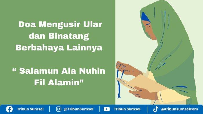 Doa Mengusir Ular dan Binatang Berbahaya Lainnya, Salamun Ala Nuhin Fil ...