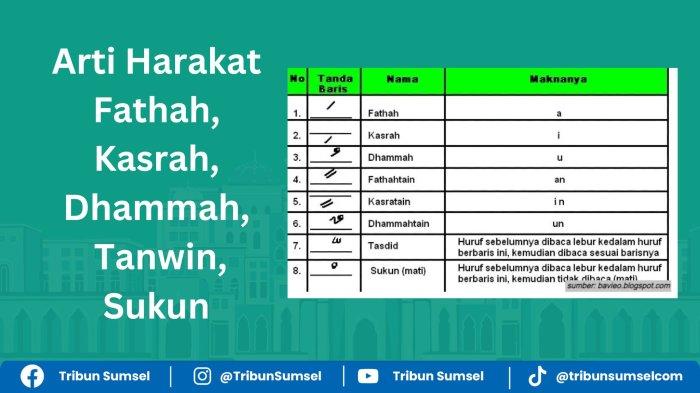 Arti Harakat, Fathah, Dhammah, Kasrah, Tanwin, Sukun, Tanda Baca dalam ...