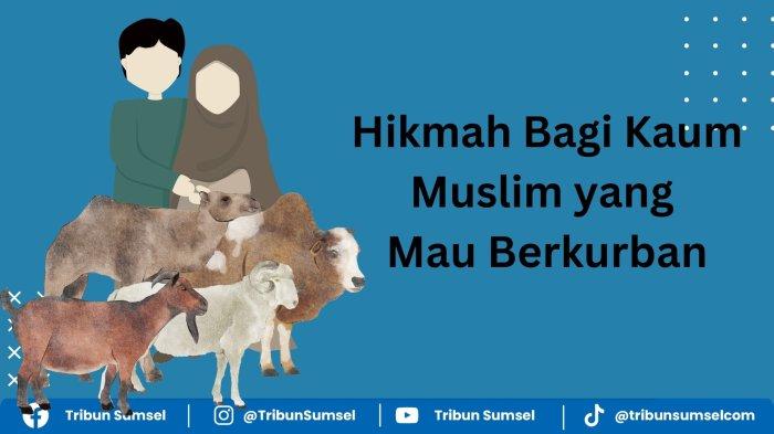 4 Ayat Alquran yang Berisi Perintah Berkurban Lengkap Hikmah dan Syarat ...
