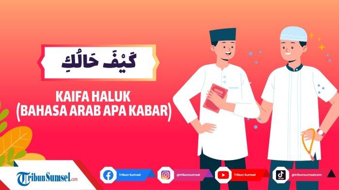 Arti Kaifa Haluk, Kalimat Sapaan Apa Kabar Bahasa Arab, Cara Menjawabnya dan Contoh Dialog ...