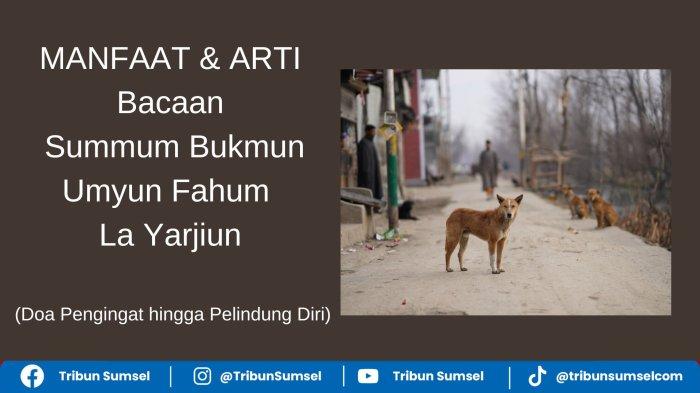 Manfaat dan Arti Bacaan Summum Bukmun Umyun Fahum La Yarjiun, Doa ...