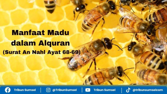 Arti Wa Auha Robbuka Ilan Nahli, Kutipan Surat An Nahl ayat 68-69 ...