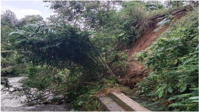 Irigasi Tertimbun Longsor, 80 Hektare Sawah Terancam Kekeringan di Desa ...