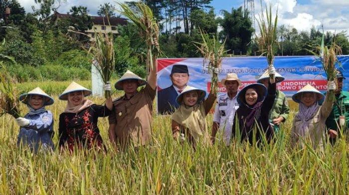 Jadi Salah Satu Lokasi Panen Raya Padi, Pagar Alam Siap Dukung Program Swasembada Pangan ...