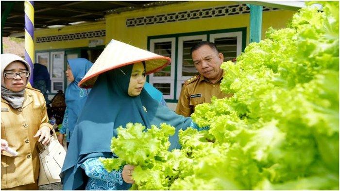 Ketua TP PKK OKU Timur Sheila Noberta Giatkan Gerakan Merdeka Pangan ...
