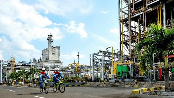 Kilang Pertamina Plaju Berperan Dukung Roadmap Menuju Net Zero Emission ...
