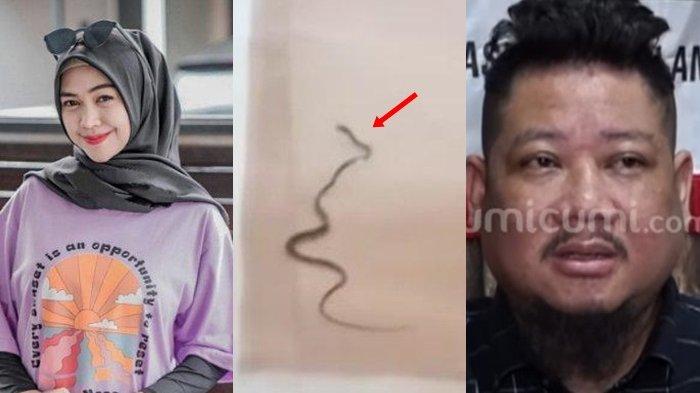 Heboh Ria Ricis Rumahnya Kemasukan Ular, Ibunda Sampai Bilang Jelmaan Jin, Ki Kusumo : Ular ...