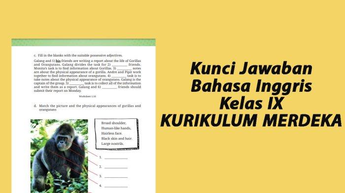 Kunci Jawaban Bahasa Inggris Kelas 9 halaman 50 Kurikulum Merdeka, Unit ...