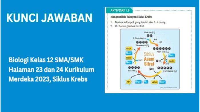 Kunci Jawaban, Biologi Kelas 12 SMA/SMK Halaman 23 dan 24 Kurikulum ...