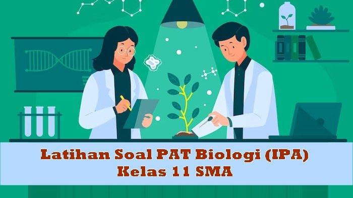 Soal PAT IPA Biologi Kelas 11 SMA/MA Semester 2 Tahun 2023 Beserta Kunci Jawaban - Tribunsumsel.com