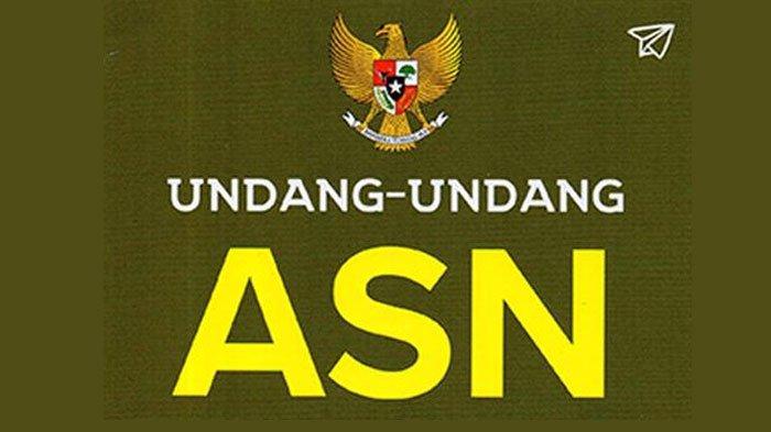 Link Unduh PDF UU ASN 2023 Terbaru, Status PPPK dan PNS Setara Punya Jejang Karir dan Tunjangan ...