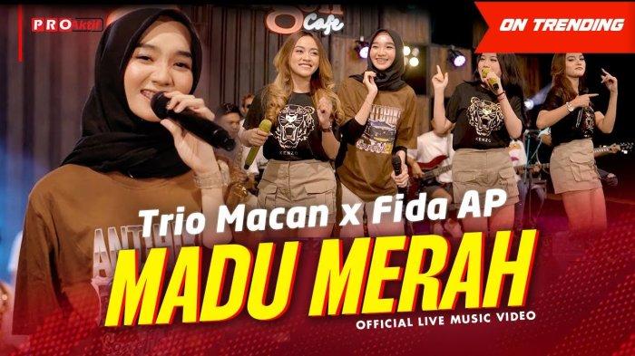 Lirik Lagu Madu Merah - Trio Macan X Fida AP Trending Youtube ...