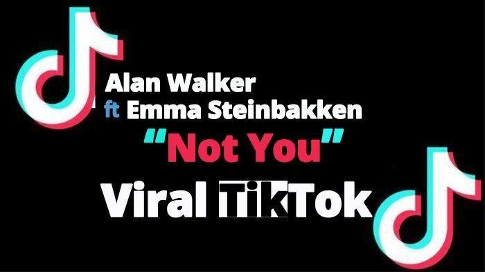 Lirik dan Arti Lagu Not You - Alan Walker Feat Emma Steinbakken, Viral ...