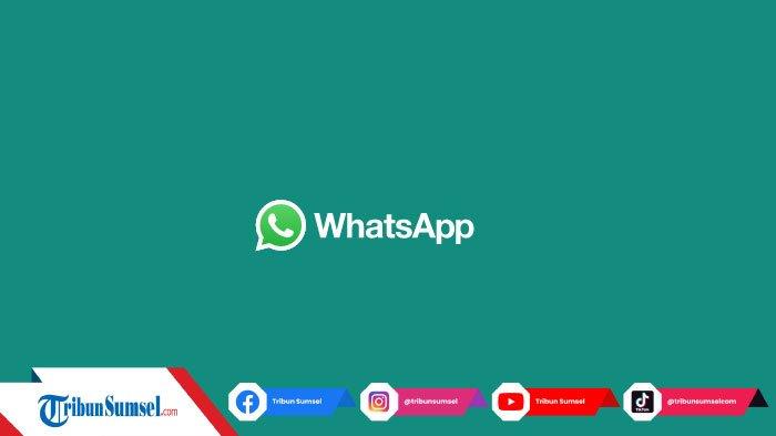 Login WhatsApp Web Tanpa HP dan Scan QR Code, Langsung Masuk Otomatis Tanpa Ribet - Tribunsumsel.com