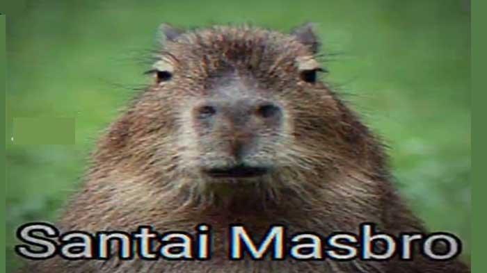 Masbro dalam Bahasa Gaul Artinya Apa? Istilah Viral di Berbagai Media ...