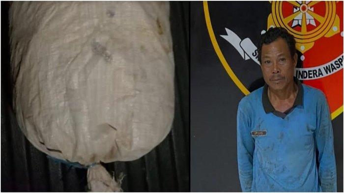 Buruh di Musi Rawas Curi Sawit Senilai Rp 125 Ribu, Polisi Sarankan Restotarive Justice ...