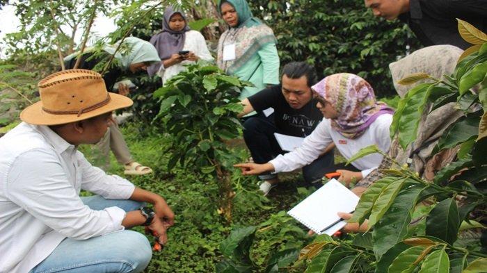 PLN Peduli Gelar Pelatihan dan Pendampingan Petani Kopi Go Global ...