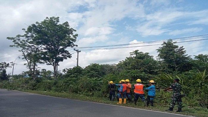 Pemeliharaan Jaringan, PLN ULP Kepahiang Bersama ULP Nusa Indah gandeng ...