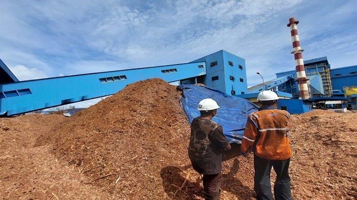 Triwulan Pertama 2023, PLN Nusantara Power Pasok 19.902 MWh Energi Bersih - Halaman all ...