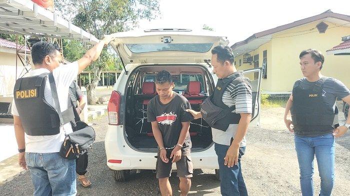 Pelaku Pencurian Sapi di Lempuing OKI Diringkus Polisi, Ini Sosok Pelaku - Tribunsumsel.com